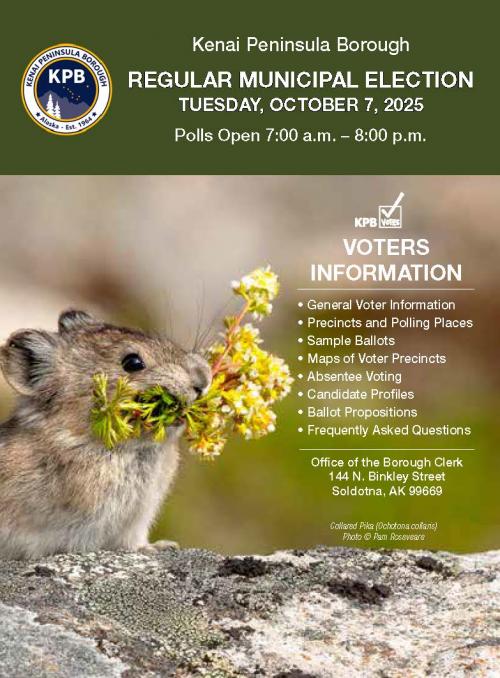 Kenai Peninsula Borough Voter Pamphlet & Sample Ballots | City of Homer ...