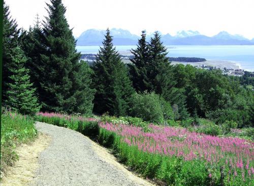 Maps of Parks and Trails | City of Homer Alaska Official Website